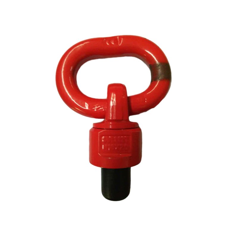 Swivel Lifting Eye